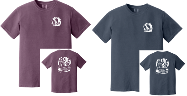 Mason AP Chem 25 Tee B - Friday Threads