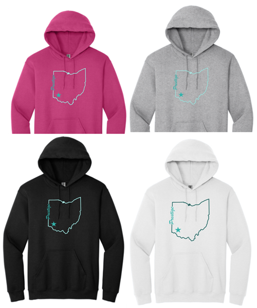 PCA Gildan Hoodie - Friday Threads