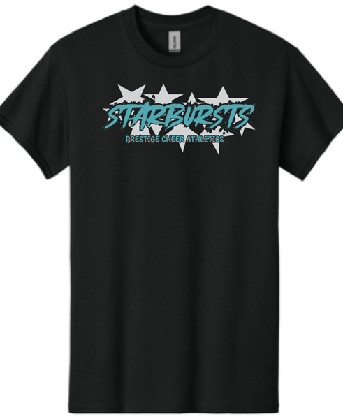 PCA Team Starbursts Shirts - Friday Threads